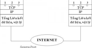 Giao thức TCP/IP | Kiến thức mạng máy tính cơ bản (Chương 7) | Cộng ...